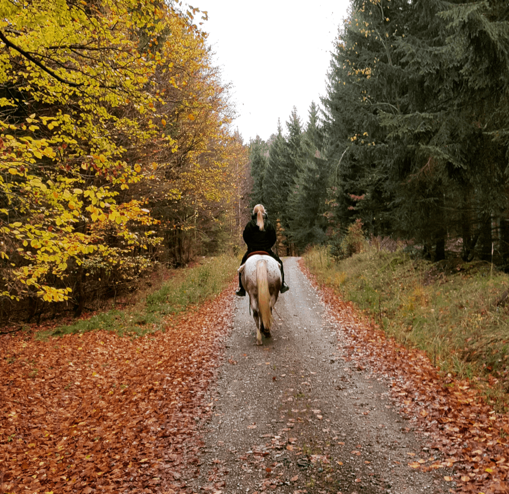 Impressionen - DAKIMA Country