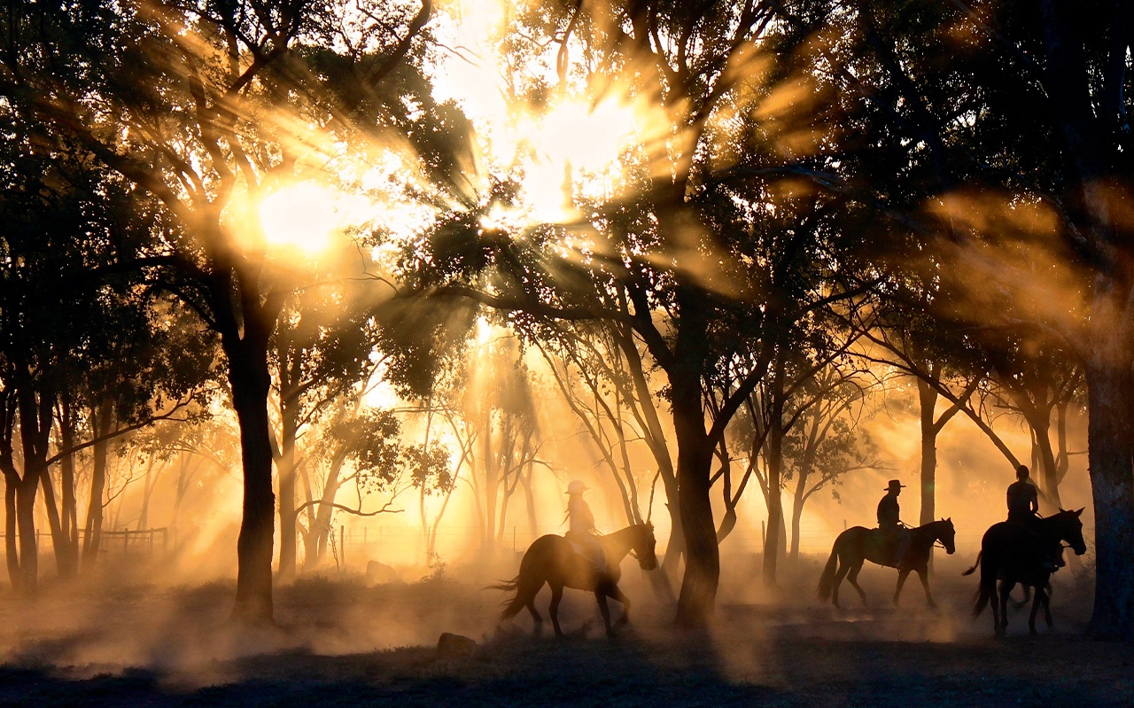 DAKIMA Country – Event- und Retreaterlebnisse der besonderen Art